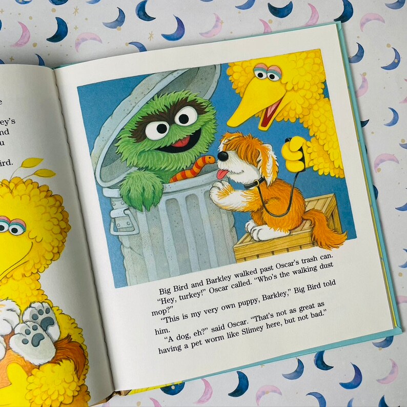 Sesame Street A Bird's Best Friend 1986 // A Growing up Book Series ...