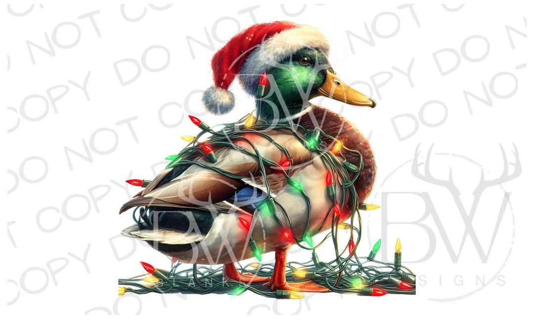 Christmas Duck PNG | Digital Download | Santa Duck Png | Christmas Duck ...