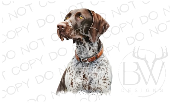 German Shorthaired Pointer Duck Hunting