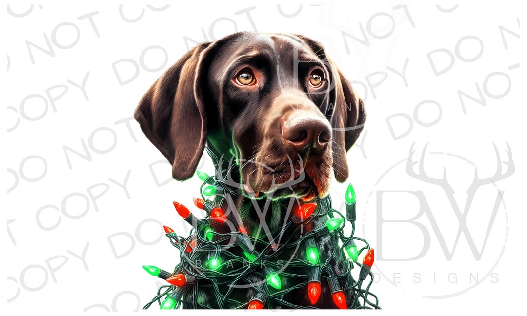 Hunting Dog Christmas PNG Digital Download Christmas Duck Hunting PNG ...