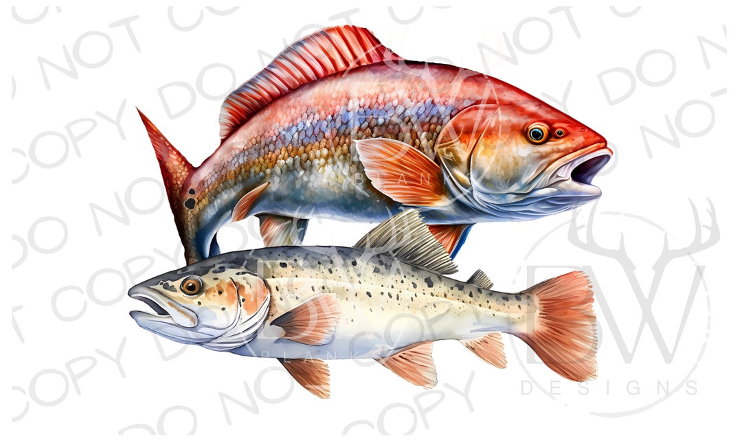 Redfish Sublimation PNG | Digital Download | Fishing Sublimation PNG ...