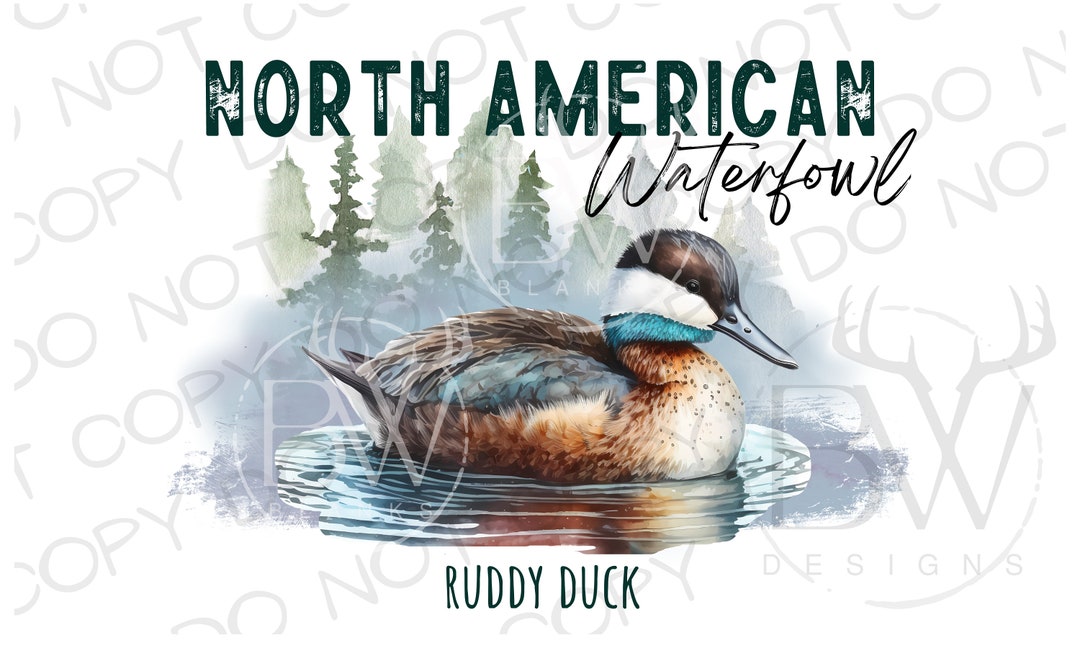 Ruddy Duck PNG | Digital Download | Duck Hunting Sublimation PNG ...