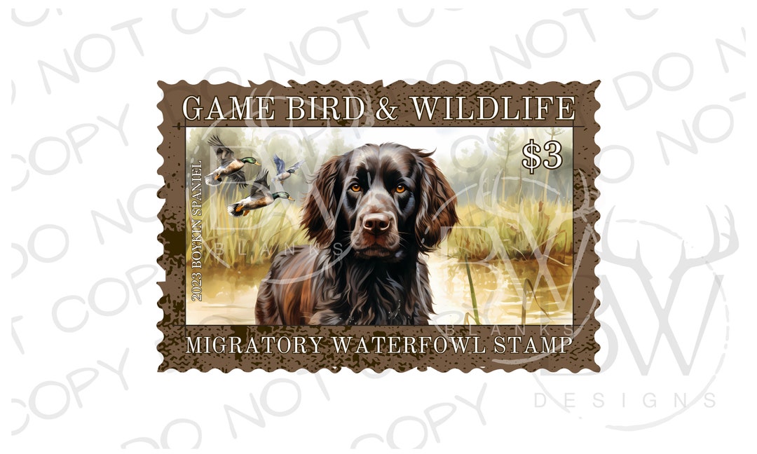 Boykin Spaniel PNG | Digital Download | Duck Hunting Sublimation PNG ...