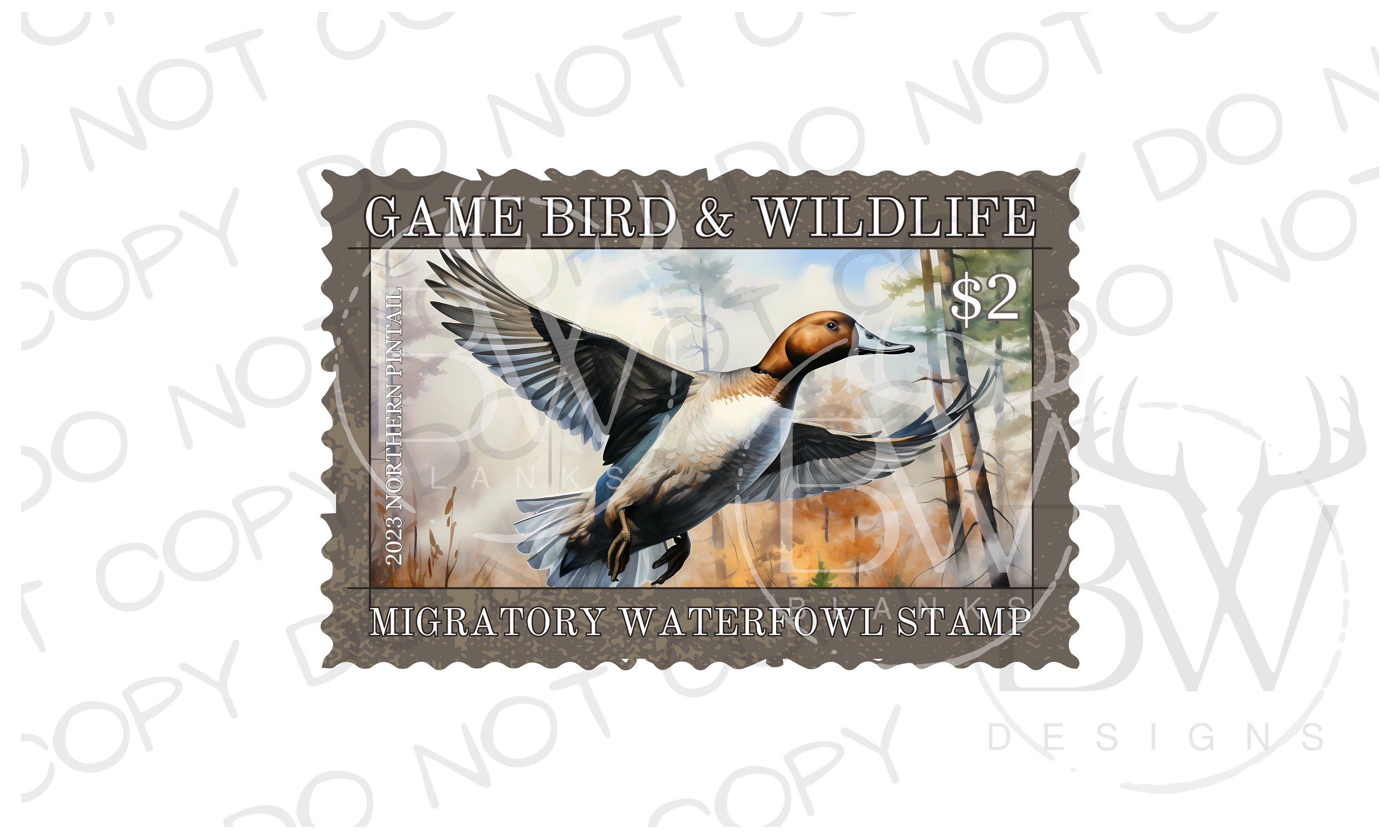Northern Pintail PNG | Digital Download | Duck Hunting Sublimation PNG ...