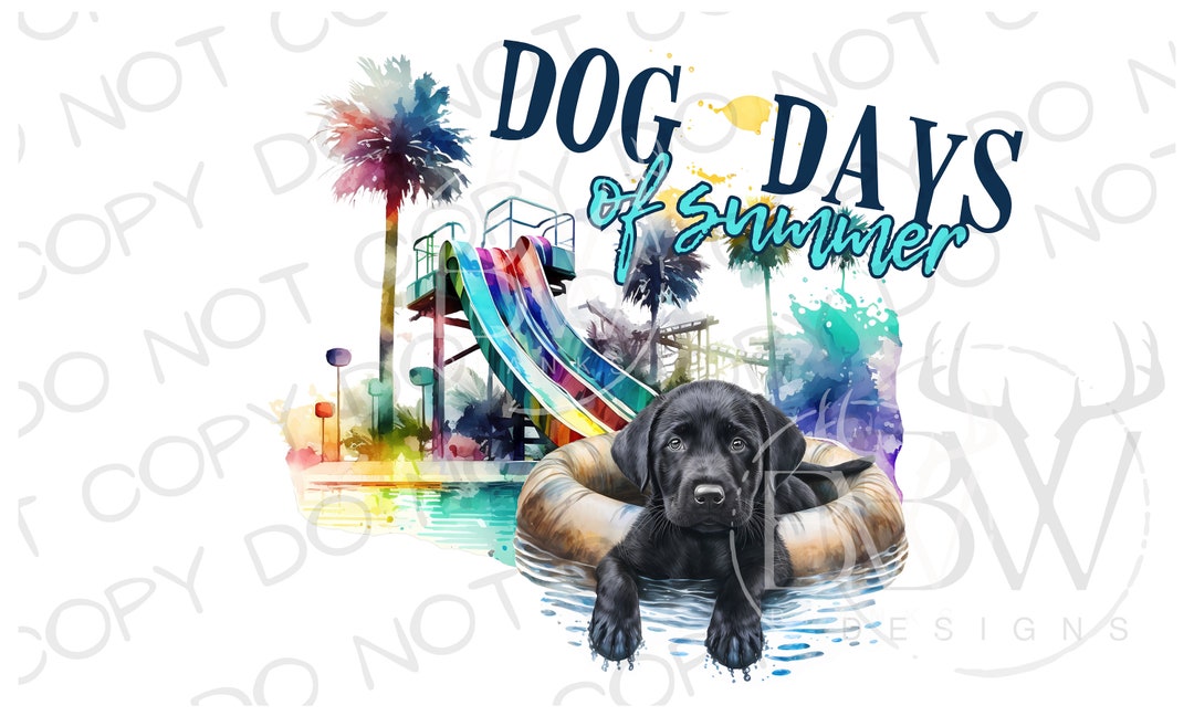 Summer Dog PNG Labrador in a Raft PNG Digital Download Waterslide ...