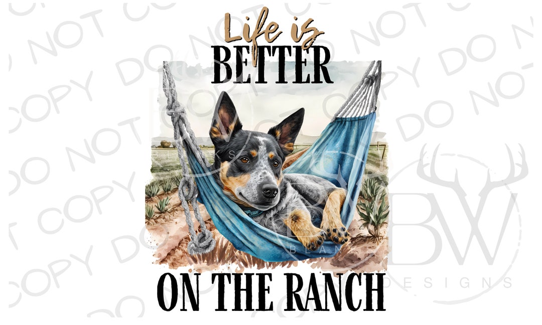 Life is Better on the Ranch Cattle Dog Sublimation PNG Digital Download ...
