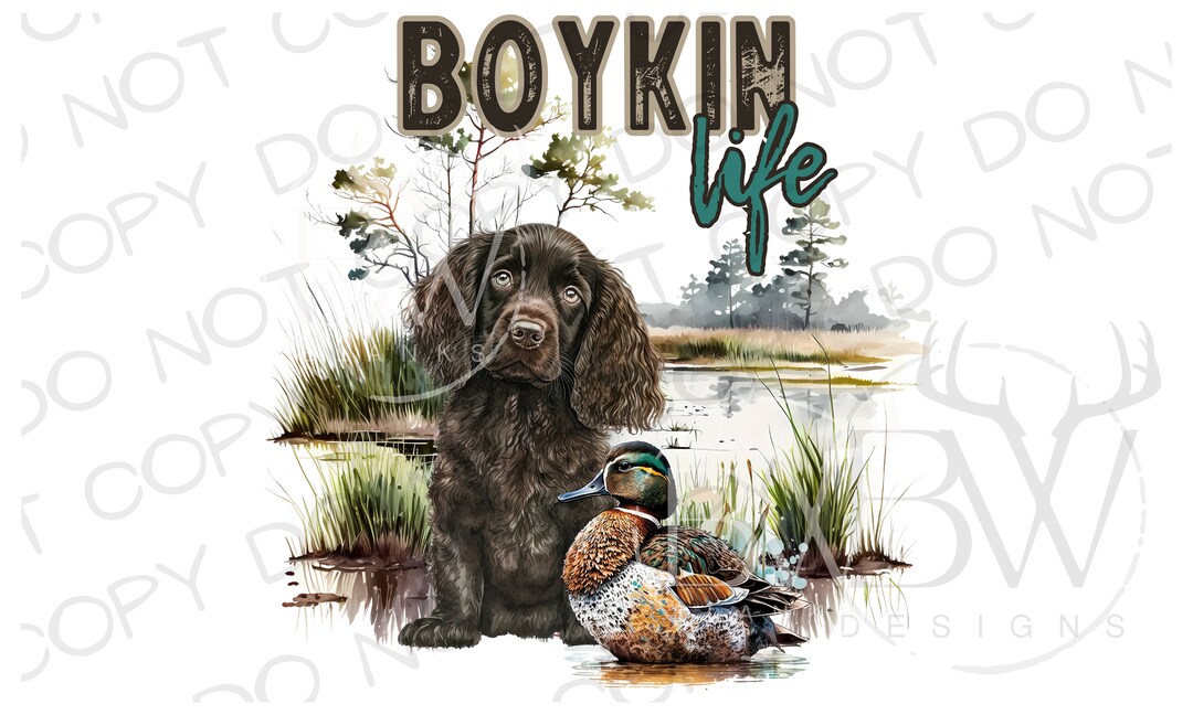 Boykin Life PNG Digital Download Duck Hunting Sublimation PNG Duck ...
