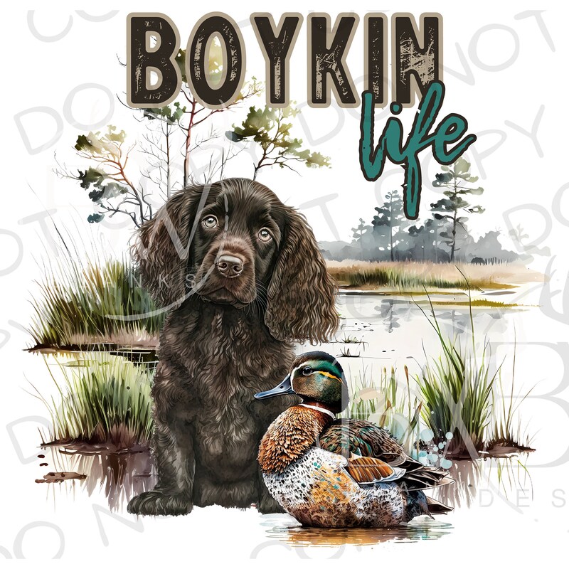 Boykin Art - Etsy