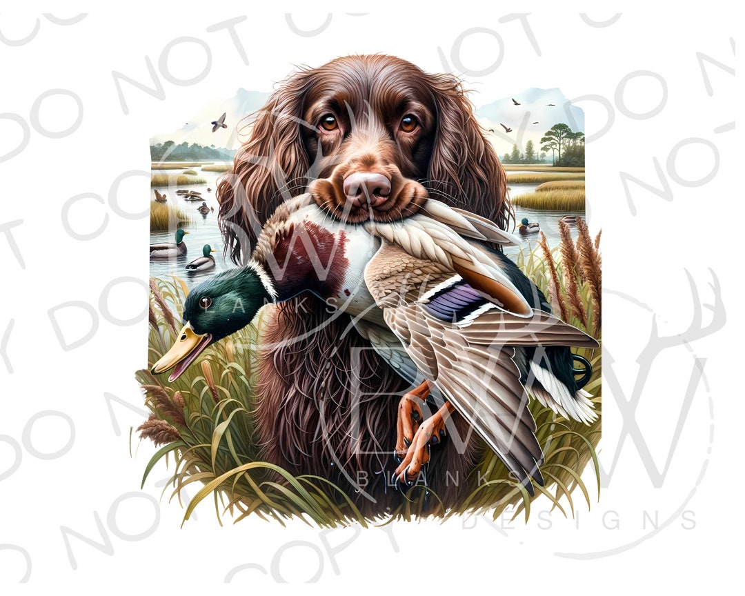 Boykin Spaniel Hunting Dog PNG | Digital Download | Duck Hunting ...