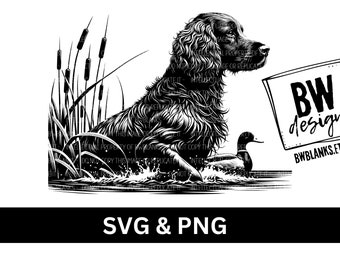 Boykin Spaniel - Etsy
