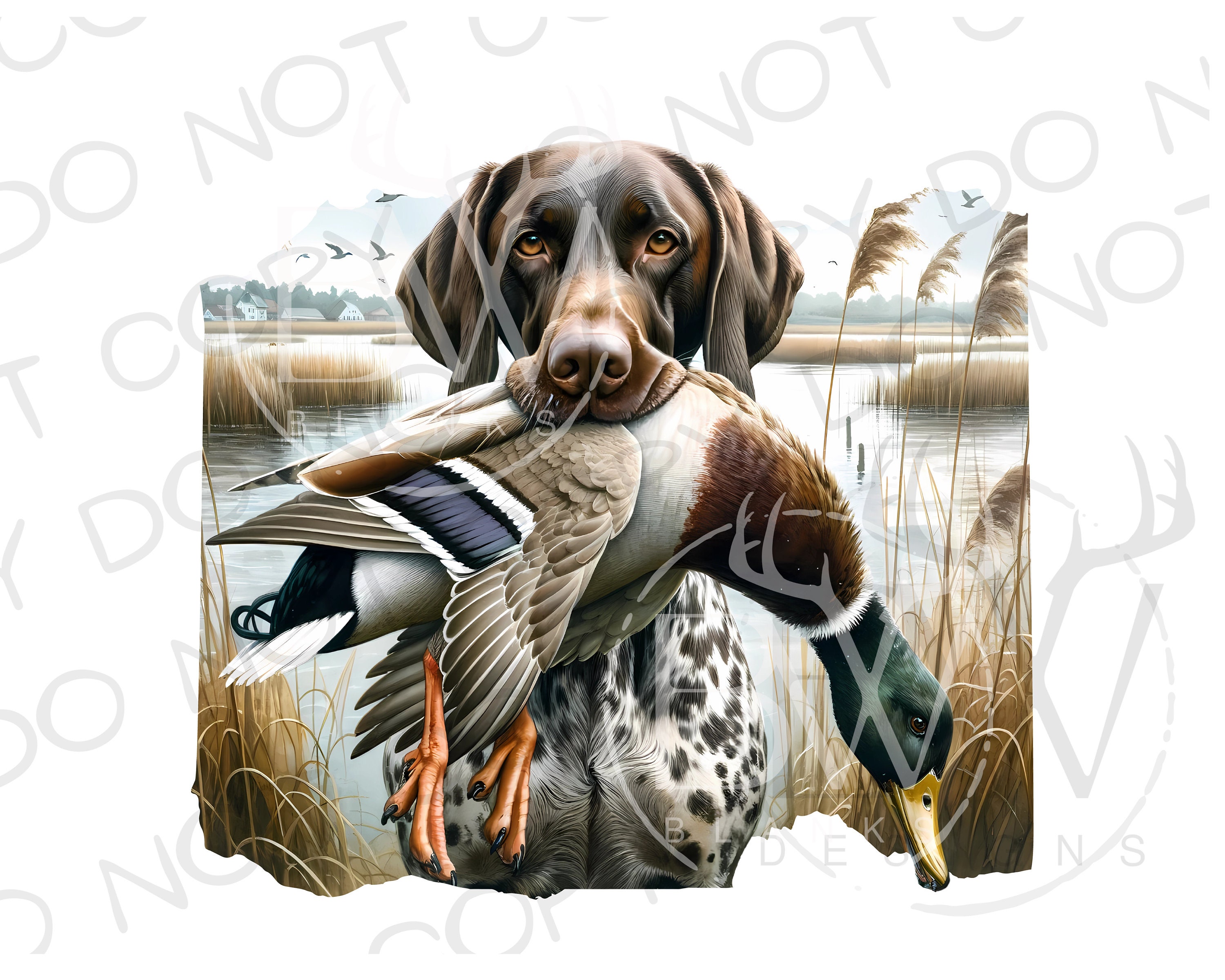 Pointer Hunting Dog PNG | Digital Download | Duck Hunting Sublimation ...
