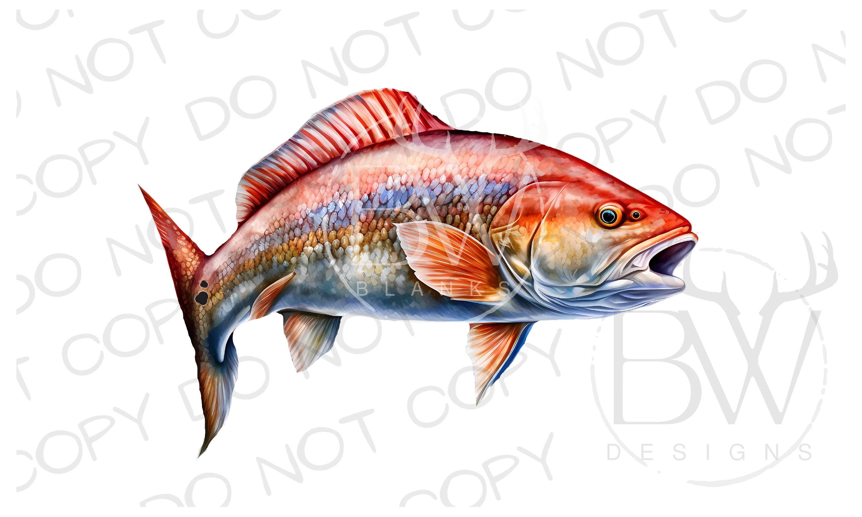 Redfish Sublimation PNG | Digital Download | Fishing Sublimation PNG ...