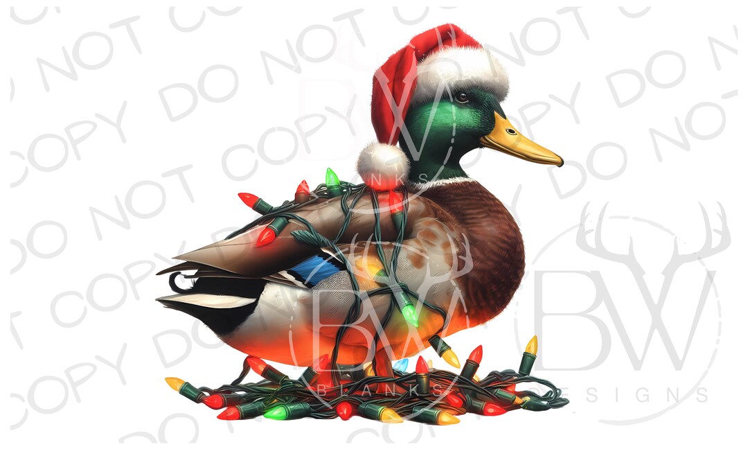 Christmas Duck PNG Digital Download Santa Duck Png Christmas Duck ...