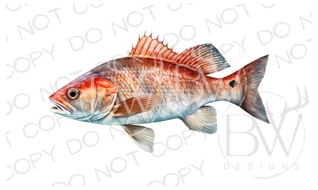 Redfish Sublimation PNG | Digital Download | Fishing Sublimation PNG ...