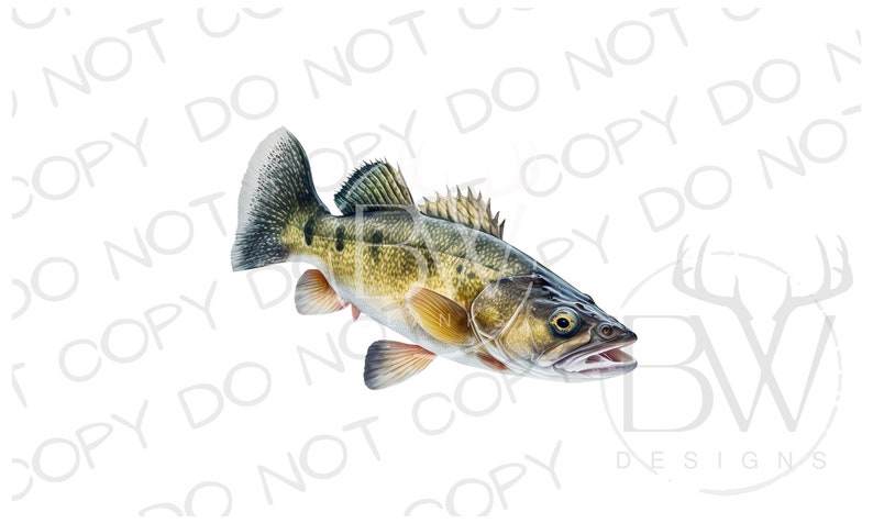 Walleye Sublimation PNG | Digital Download | Fishing Sublimation PNG ...