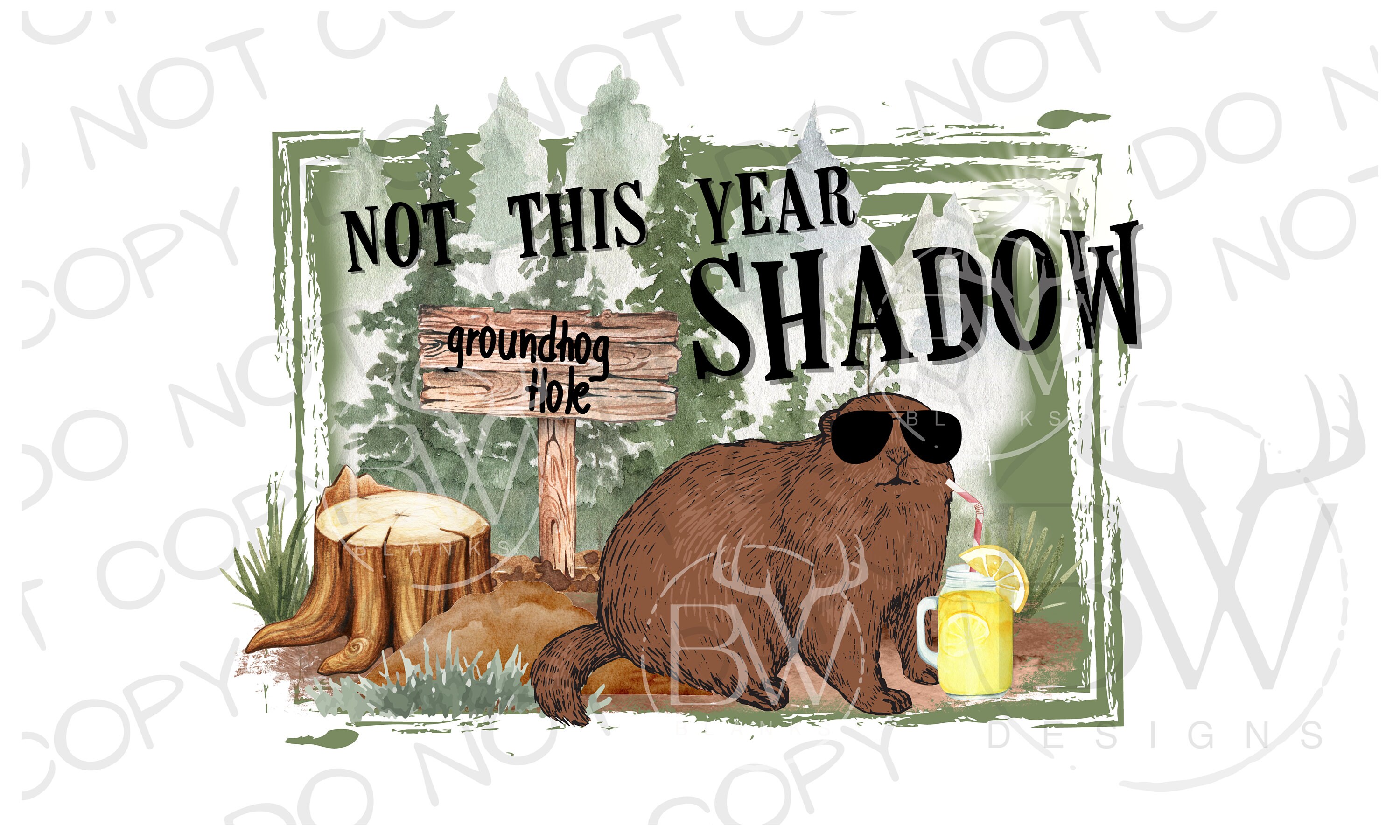 Groundhog No Shadow