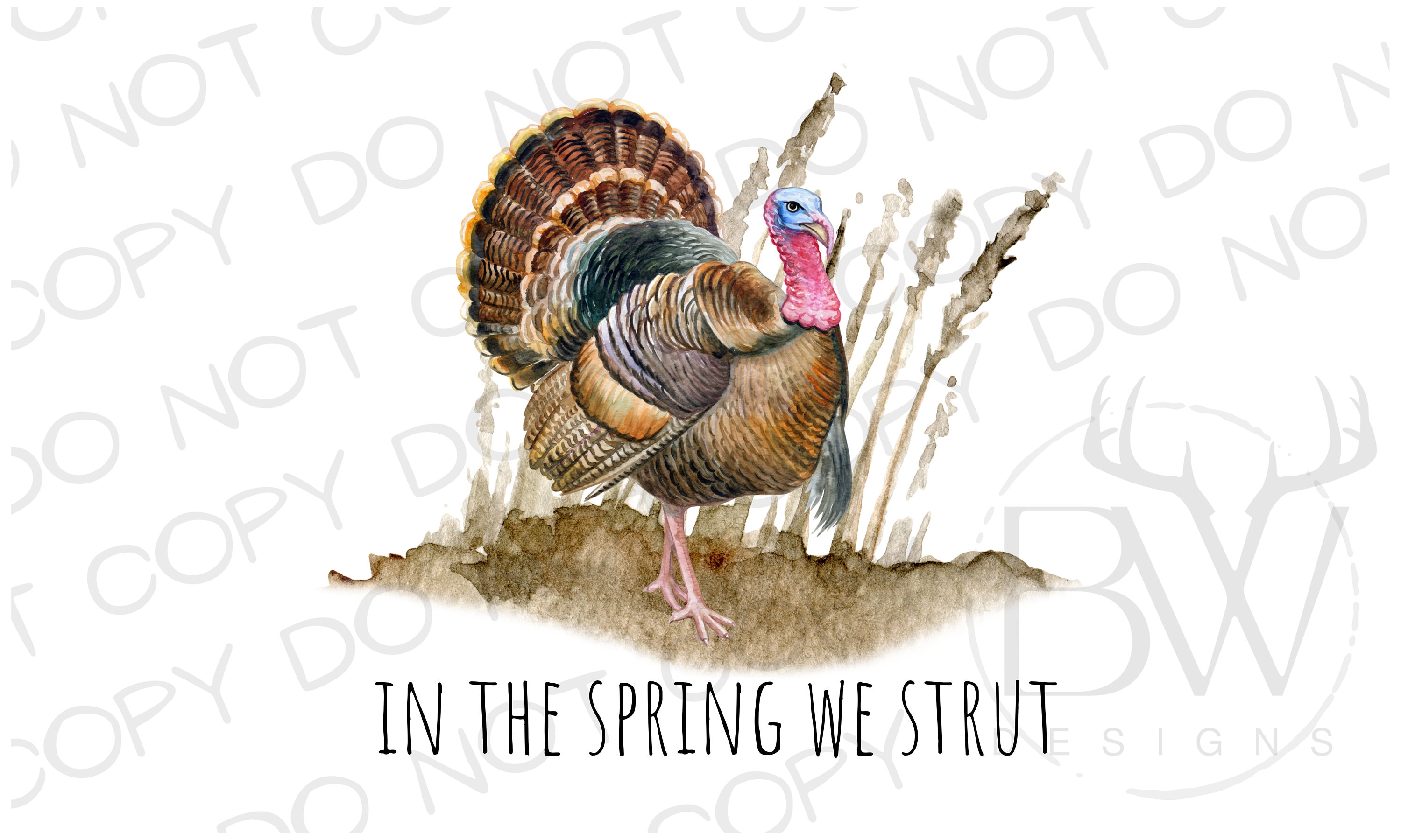 Turkey Hunting Drawings