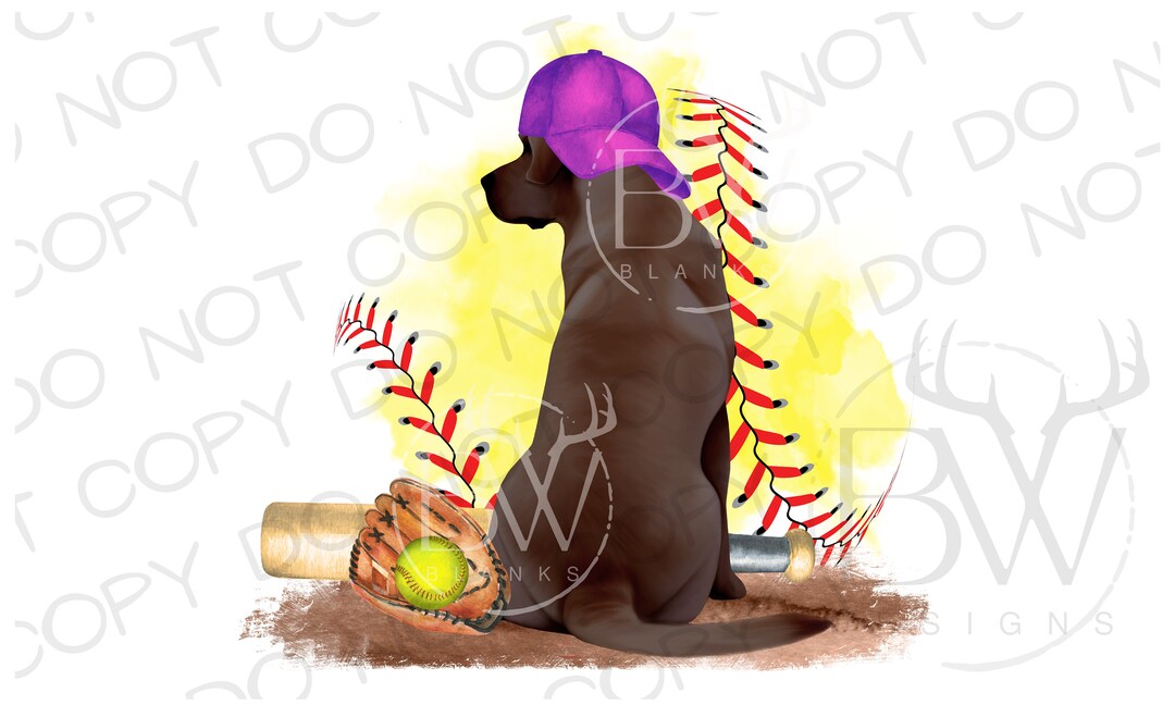 Softball Labrador Dog PNG Digital Download Softball Sublimation PNG ...