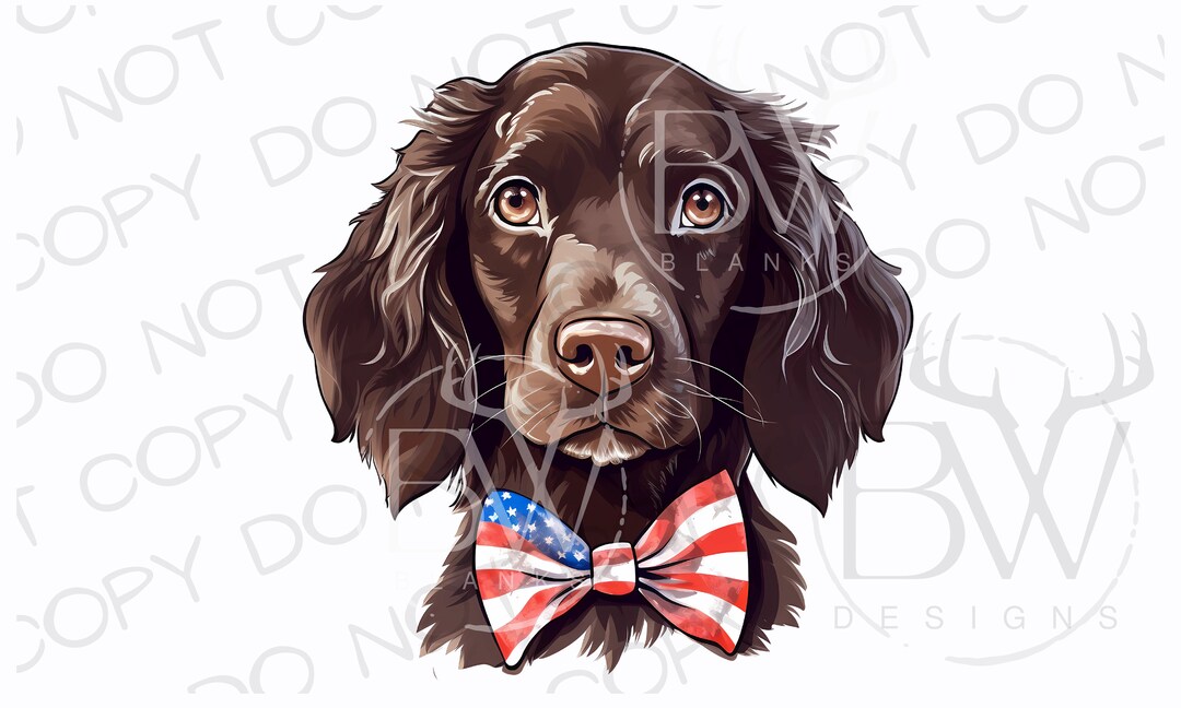 American Boykin Spaniel PNG | Duck Hunting Sublimation PNG | Boykin ...