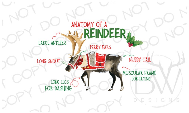 Anatomy of a Reindeer PNG Reinder PNG Digital Download - Etsy
