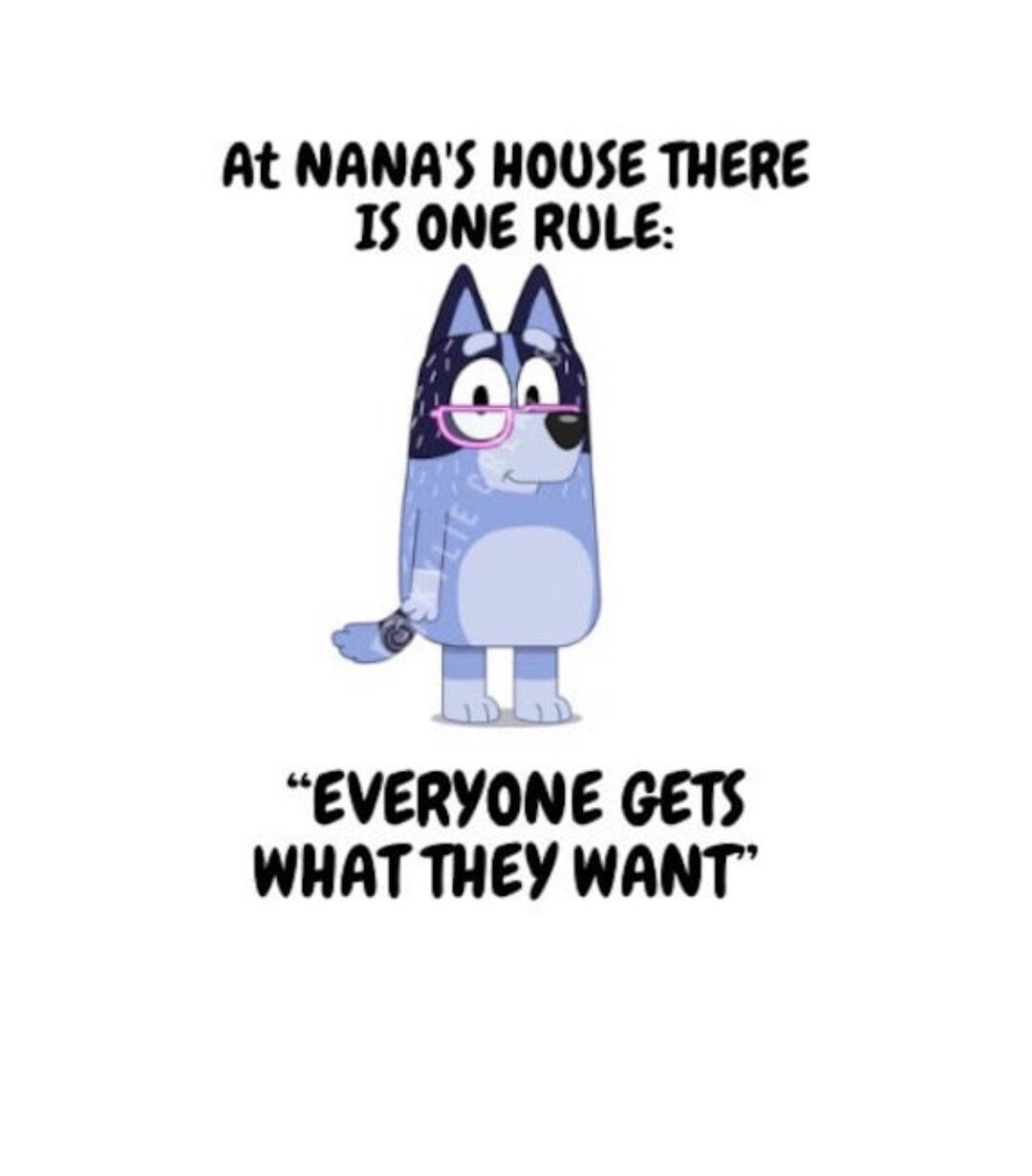 Bluey Nanas House Heat Transfer - Etsy