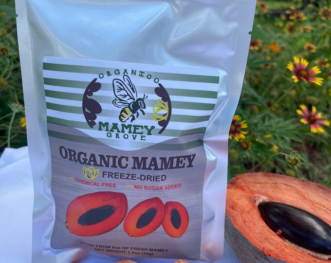 Freeze-dried Mamey Sapote Fruit 3 Pack Single-serve, Non GMO, No Add ...