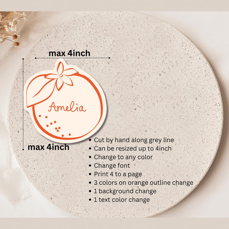 Orange Place Cards Template Orange Citrus Mediterranean Table Name Card ...