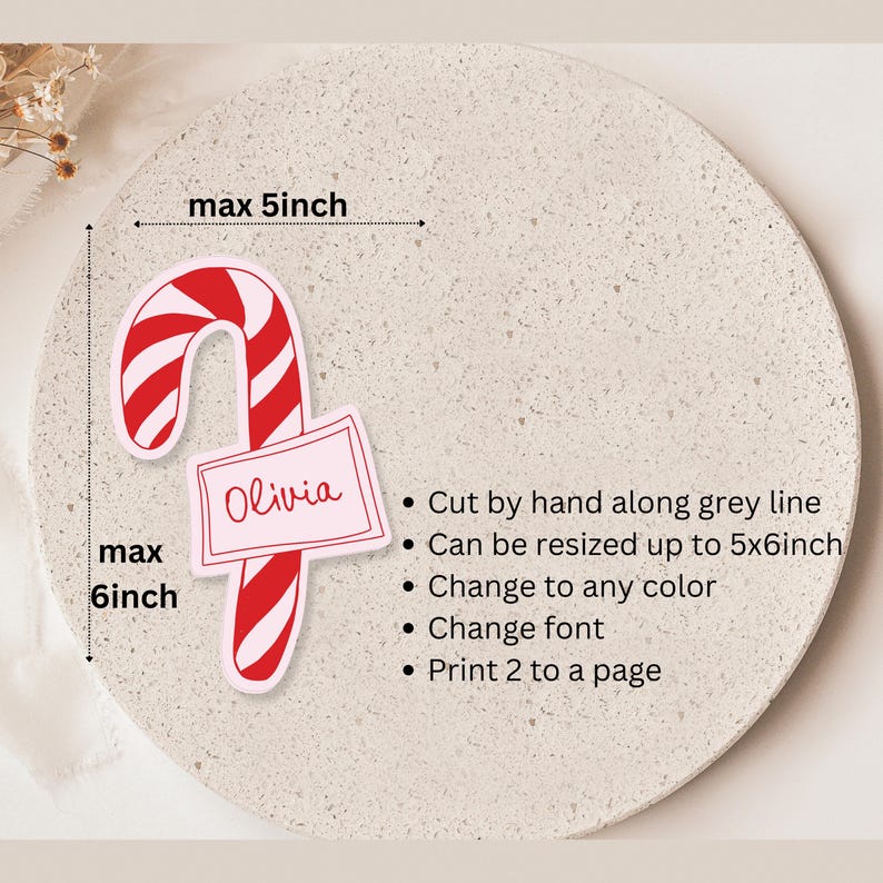 Christmas Candy Cane Pink Place Cards Template, Whimsical Placecard ...