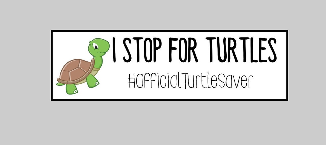 I Stop for Turtles Bumper Sticker - Etsy