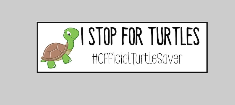 I Stop for Turtles Bumper Sticker - Etsy