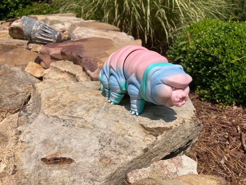 Articulated Tardigrade Water Bear Moss Piglet Fidget - Etsy