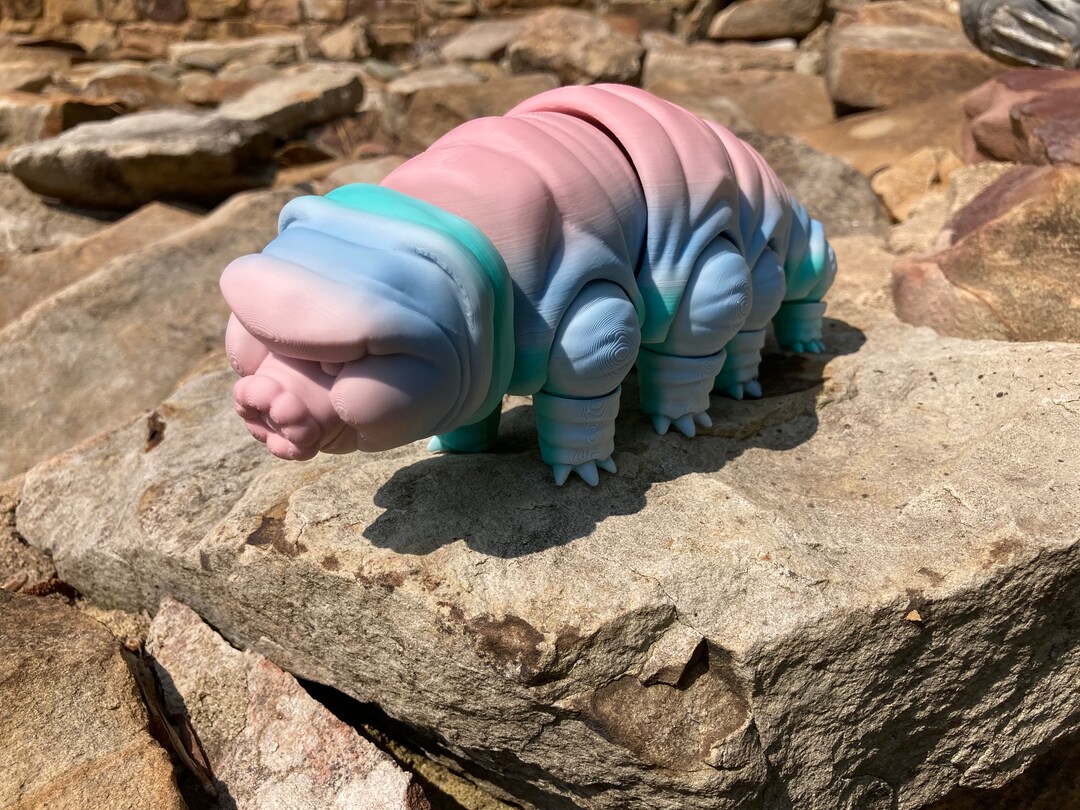 Articulated Tardigrade, Water Bear, Moss Piglet - Fidget Sensory Toy 3D ...