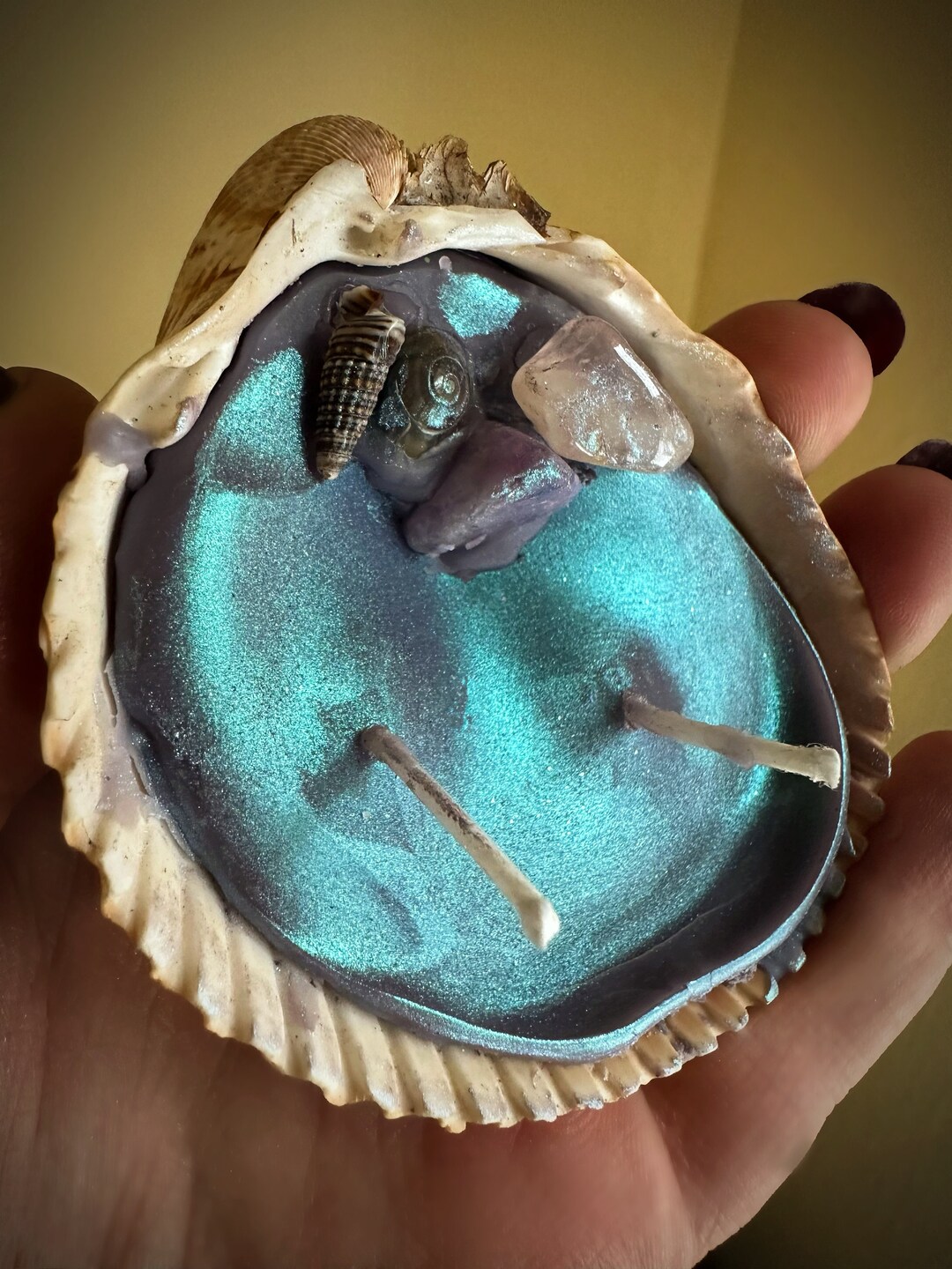 Large Seawitch Seashell Candles | Alluring and Confidence Intention ...