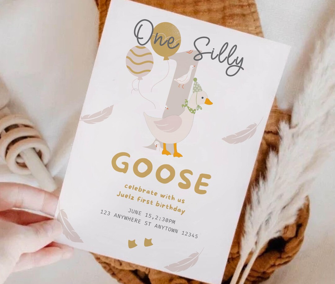 One Silly Goose First Birthday - Etsy