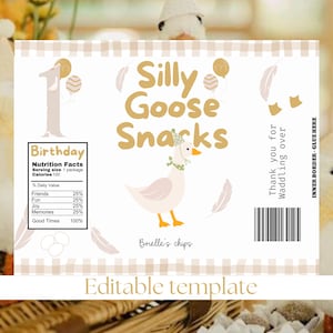One Silly Goose Chips | First Birthday - Etsy