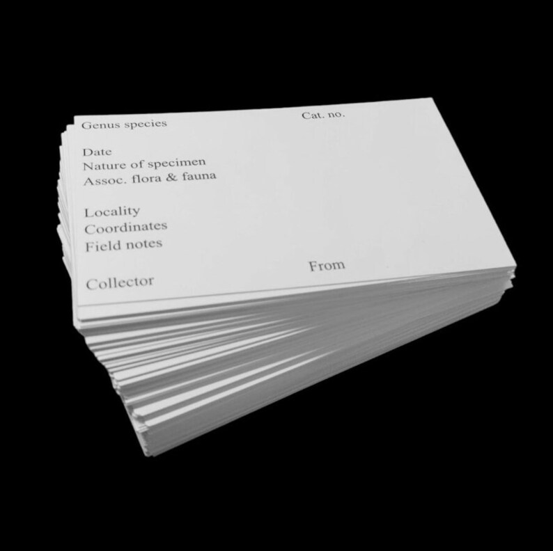 Specimen Identification Label 100ct taxidermy Skulls - Etsy