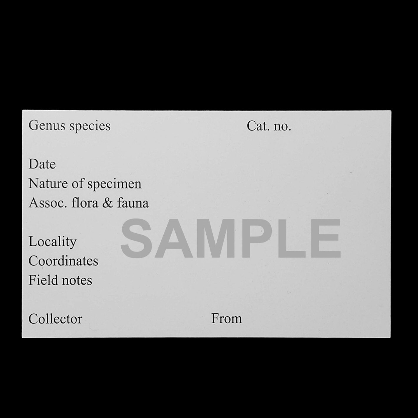 Specimen Identification Label 100ct (taxidermy, Skulls, Minerals ...