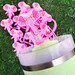 Straw Topper, Preppy Pink Mascot, Coondog Straw Topper, Stanley Cup ...