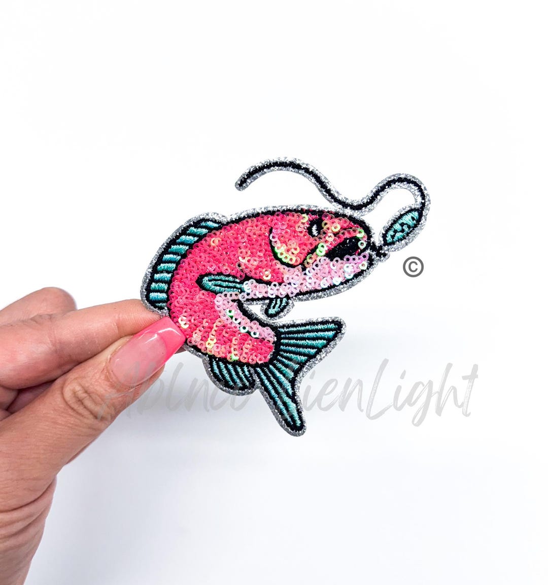 Fishing Patches, Fish Patch, Fishing Bait Patch, Fishing Lure, Sequins ...