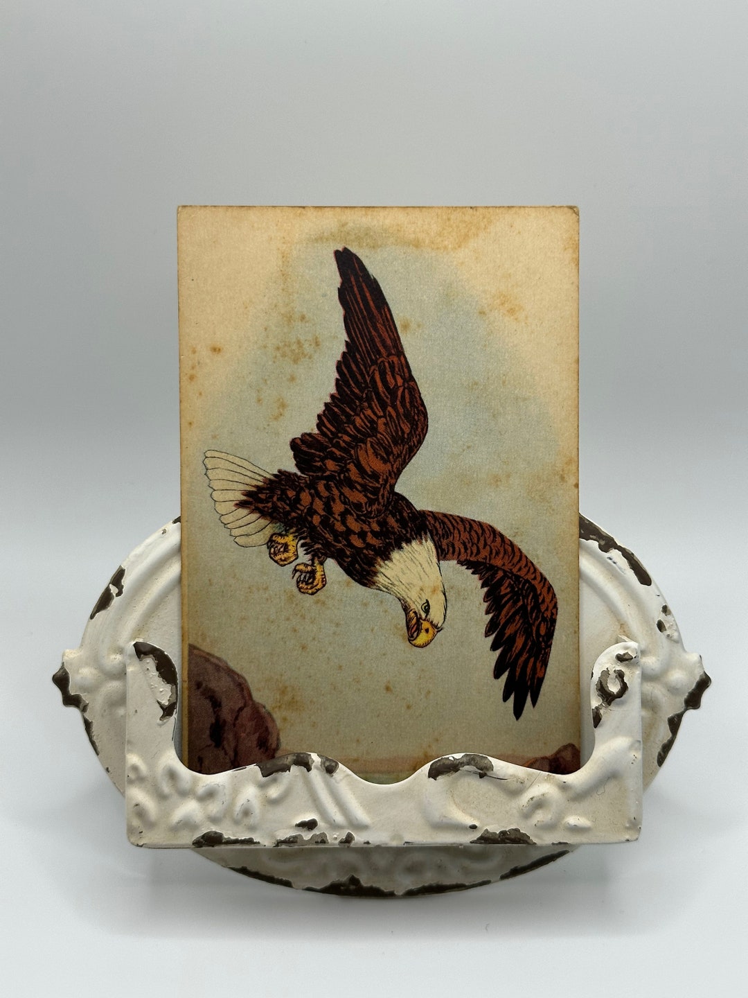 Bald Eagle Antique Trading Card, Continental Life Insurance, 1880s ...