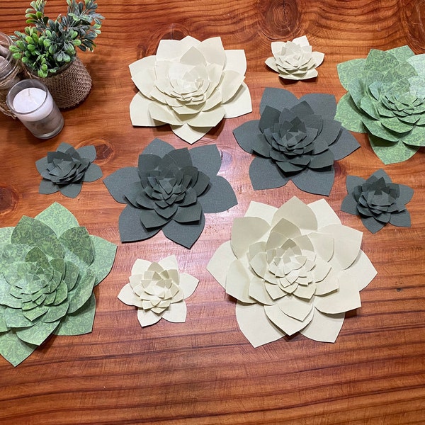 Succulent Decor - Etsy