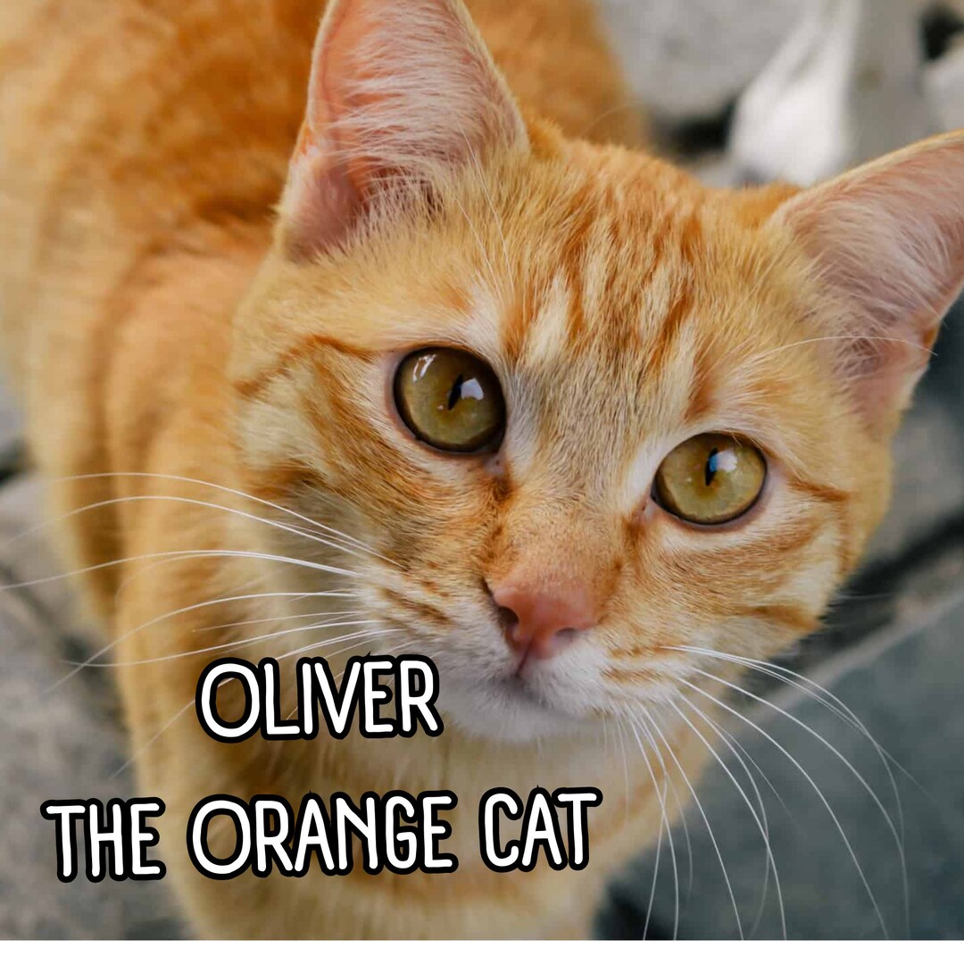 Storybook : Orange Cat Name Oliver digital Copy PDF - Etsy