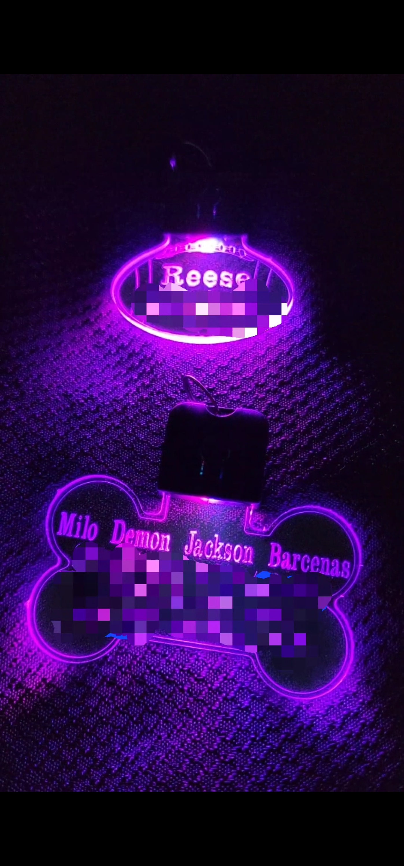 Personalized LED Dog Tag in Different Shapes and Sizes - Etsy