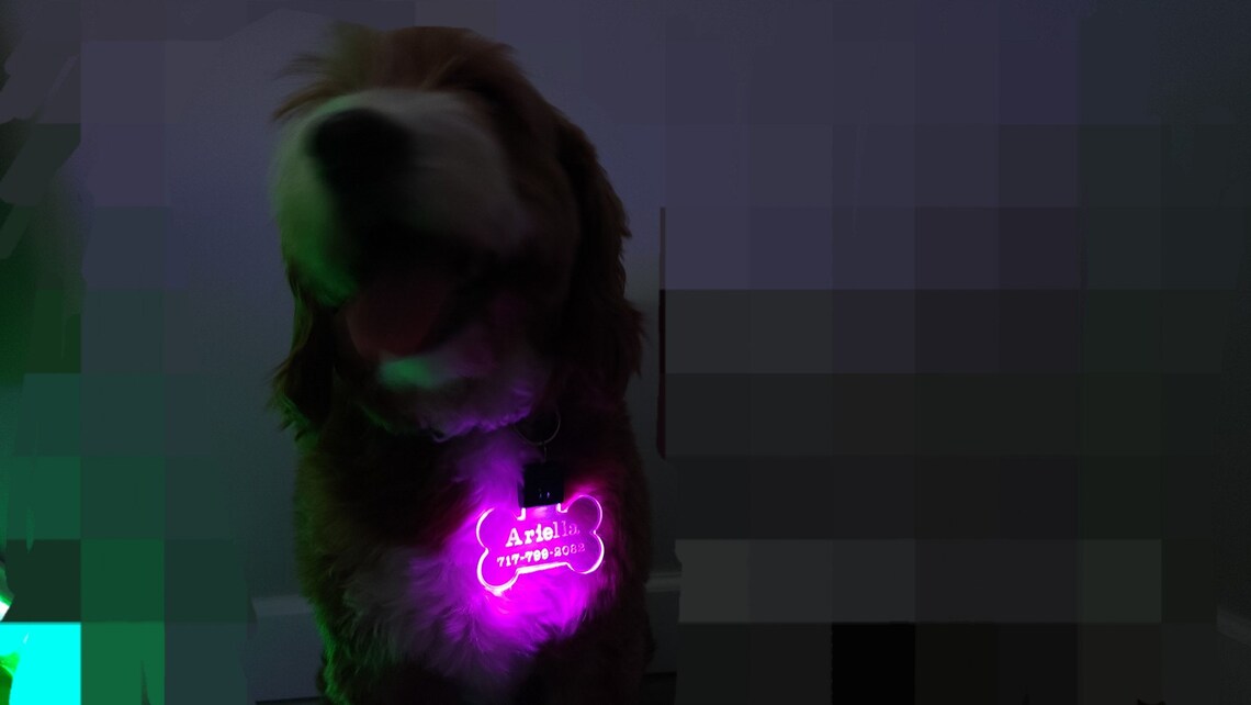 Personalized LED Dog Tag in Different Shapes and Sizes - Etsy