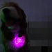 Personalized LED Dog Tag in Different Shapes and Sizes - Etsy