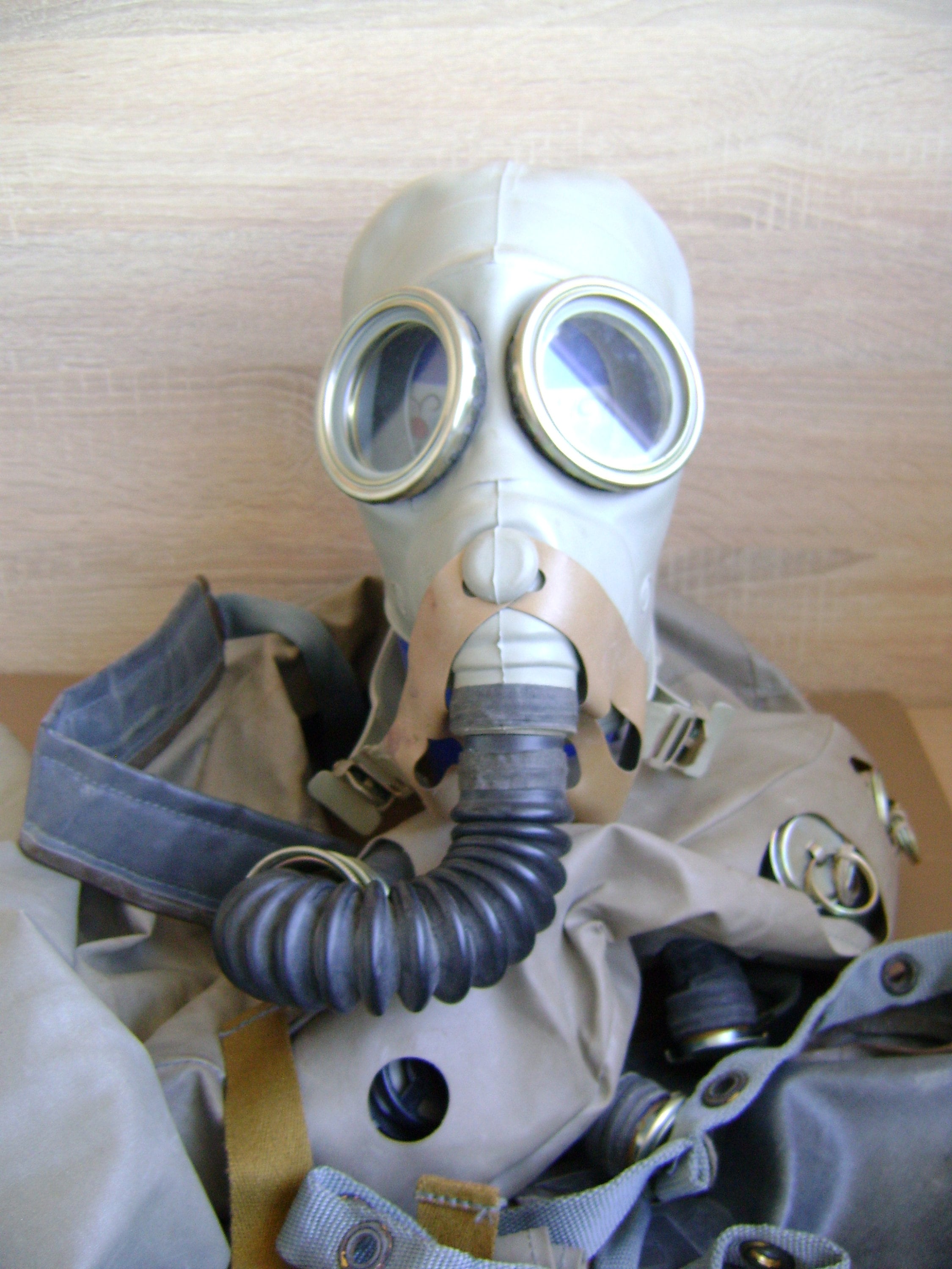 Russian Gas Mask