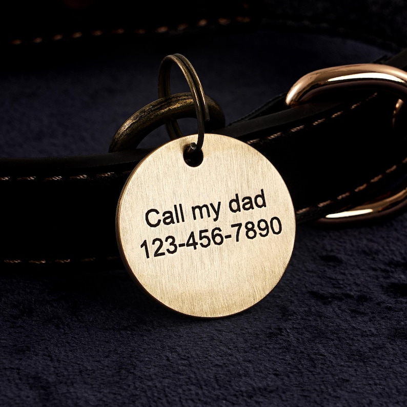 Engraved Dog Tag, Brass Dog Name Tag, Cat Name Tag, Personalized Gift ...