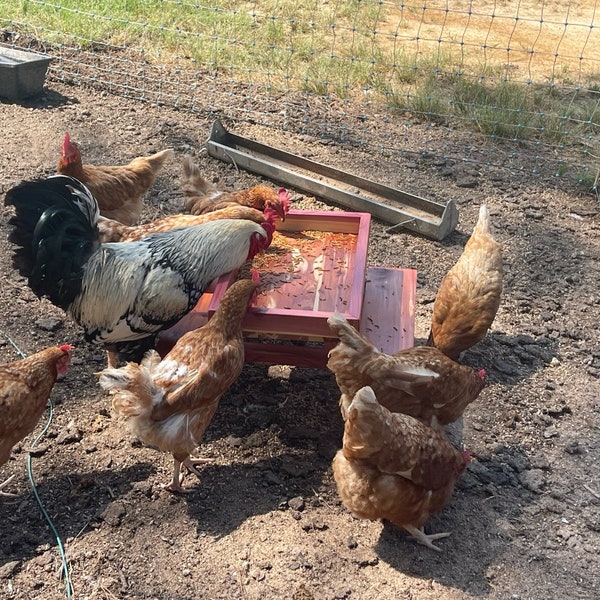 Chicknic Table - Etsy