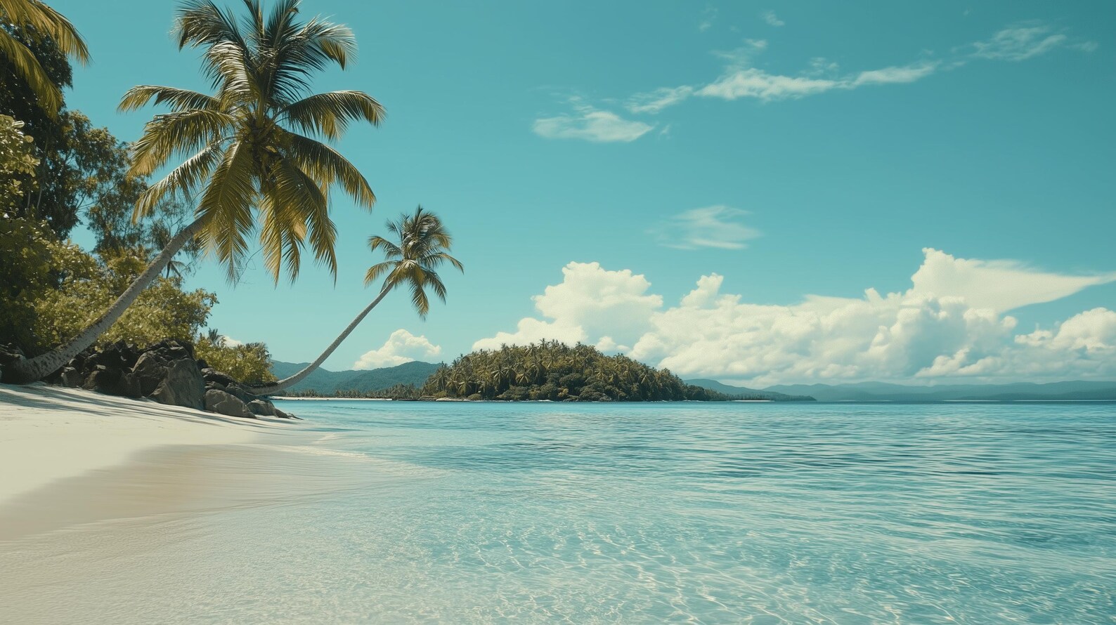 Zoom Office in a Tropical Environment 5 Pics, Zoom Virtual Office ...