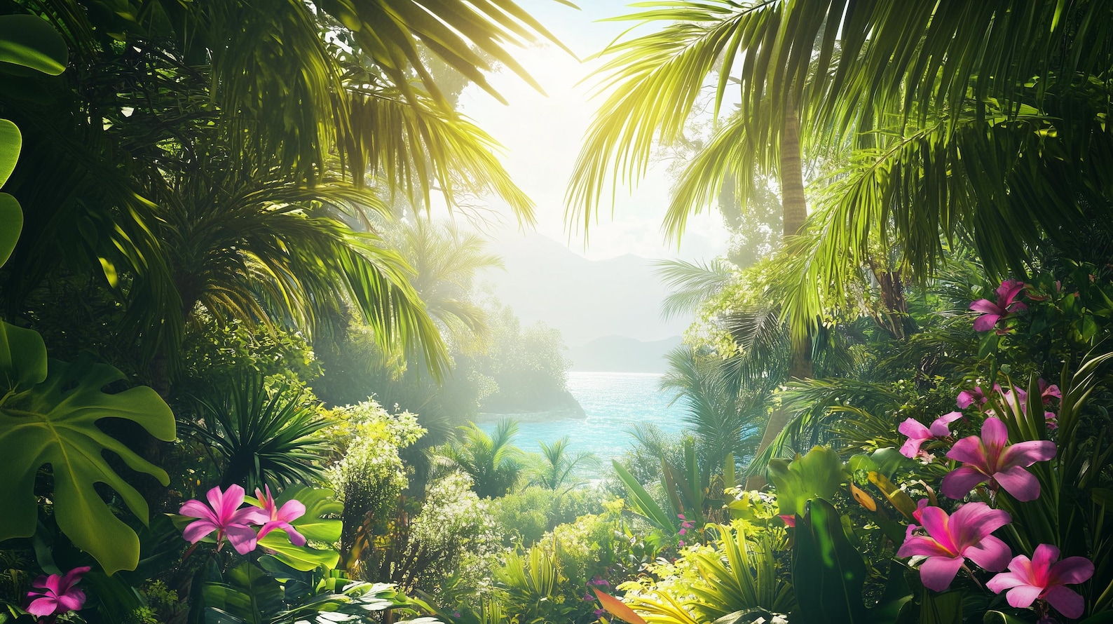 Zoom Office in a Tropical Environment 5 Pics, Zoom Virtual Office ...